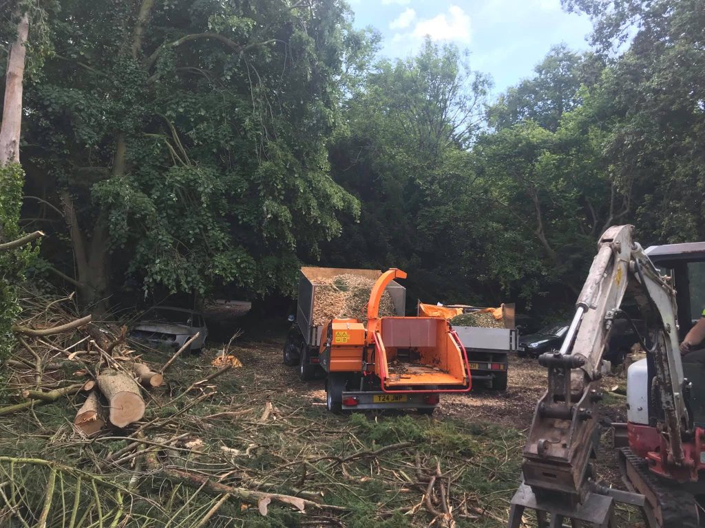 Services – First Cut Trees